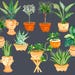 Watercolor House Plants Clipart Bundle for Boho Home Decor Digital ...