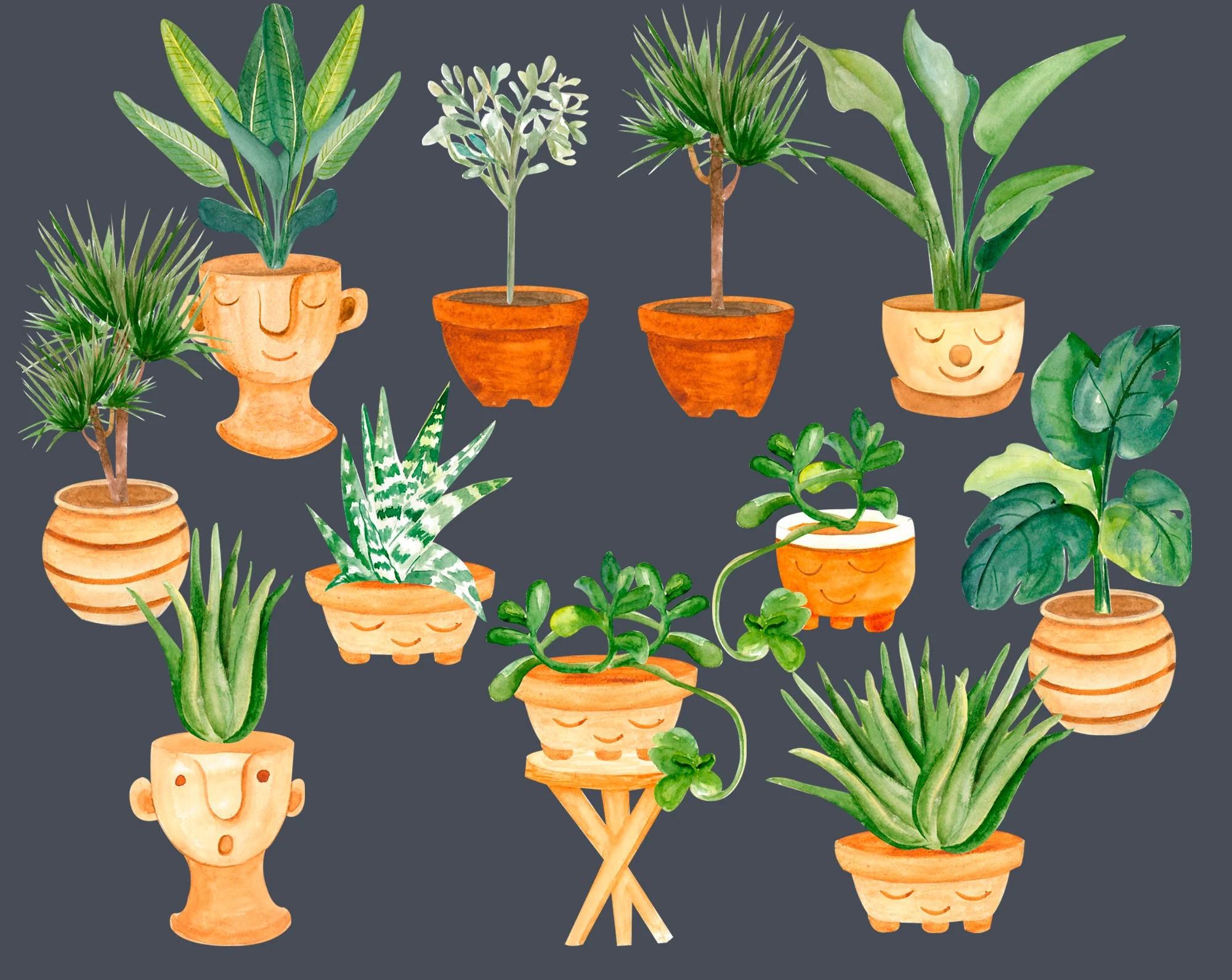 Watercolor House Plants Clipart Bundle for Boho Home Decor Digital ...