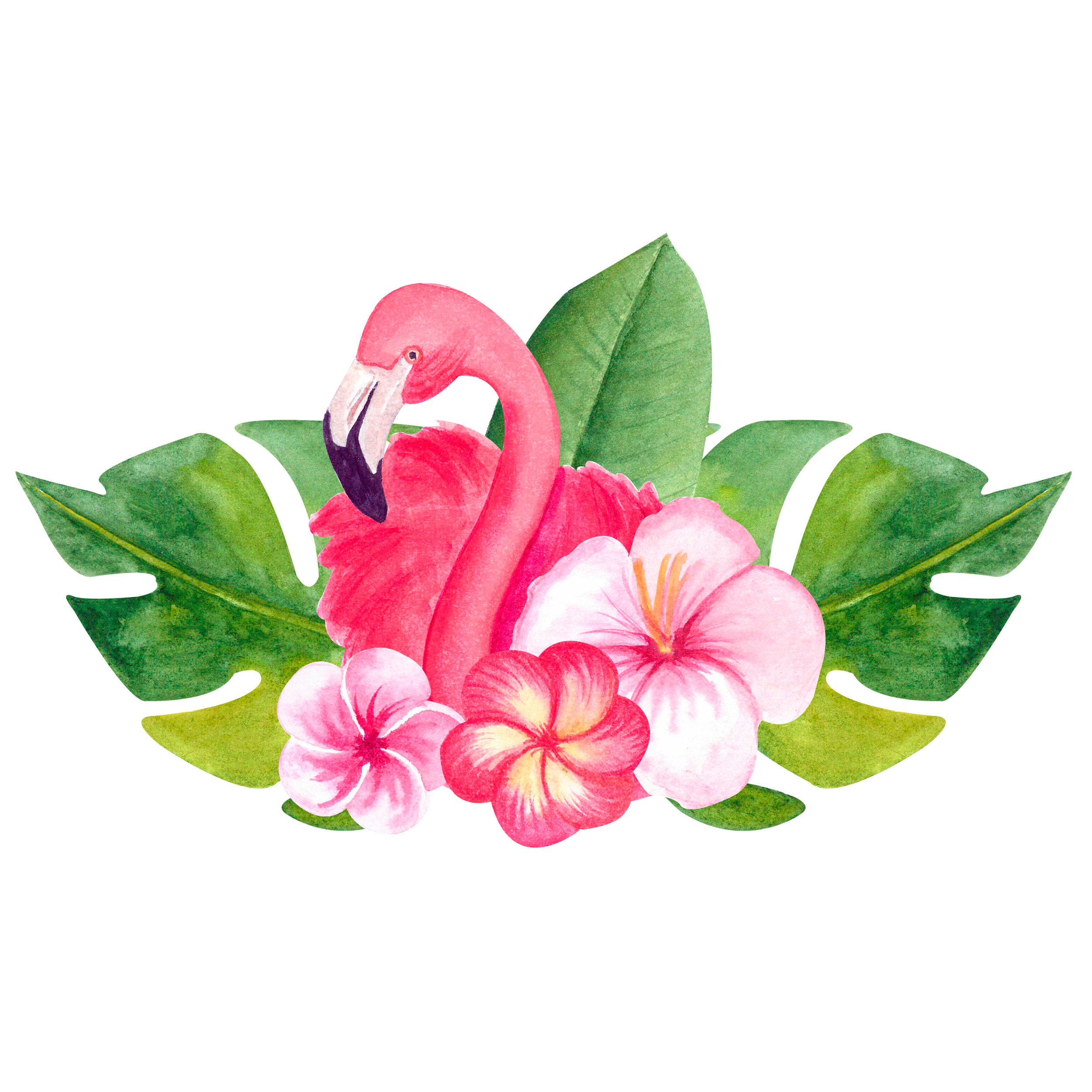 Flamingo Clipart Tropical Birds Floral Clipart. - Etsy