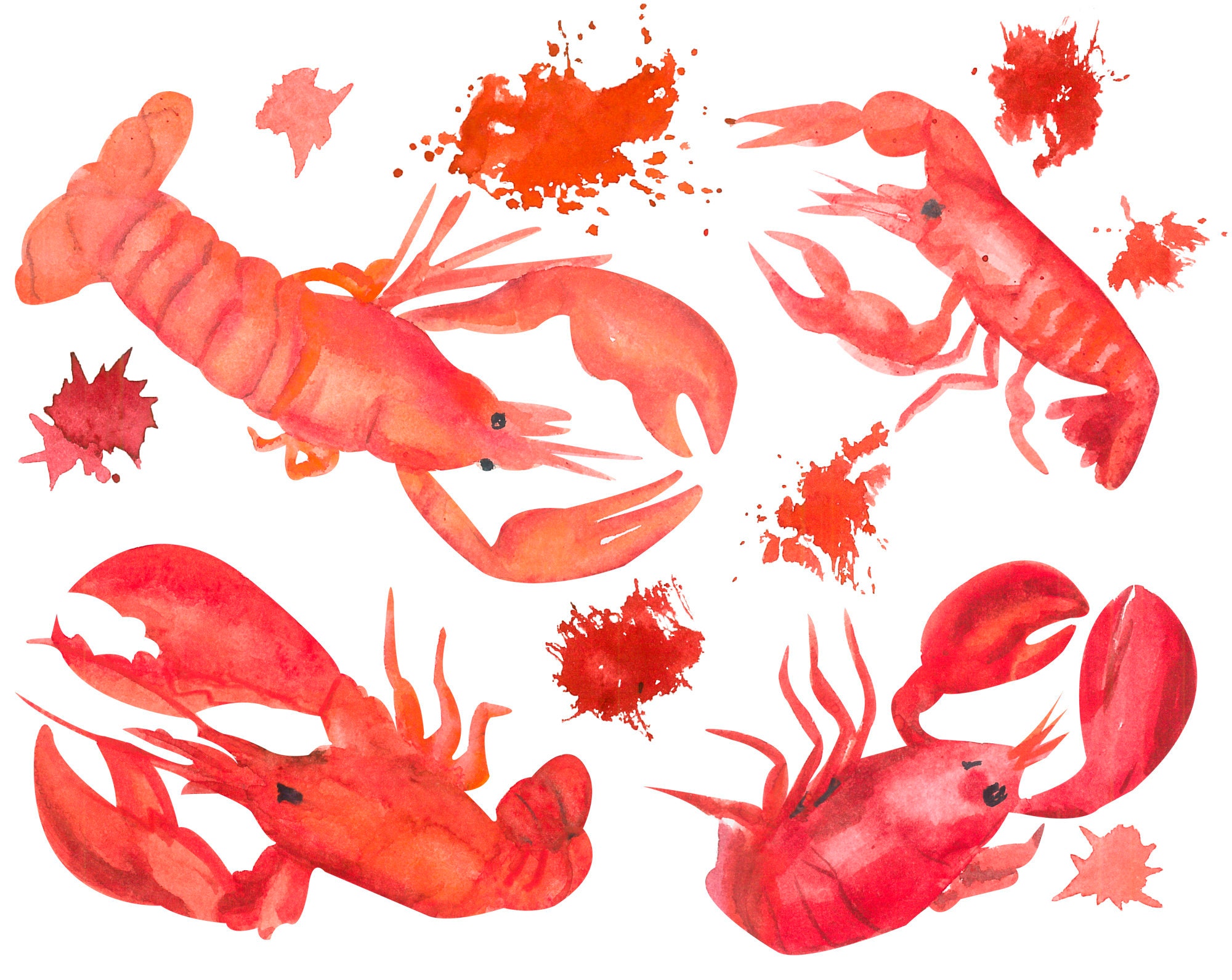 Lobster Food Clip Art, Under the Sea, Watercolor Clip Art - Etsy