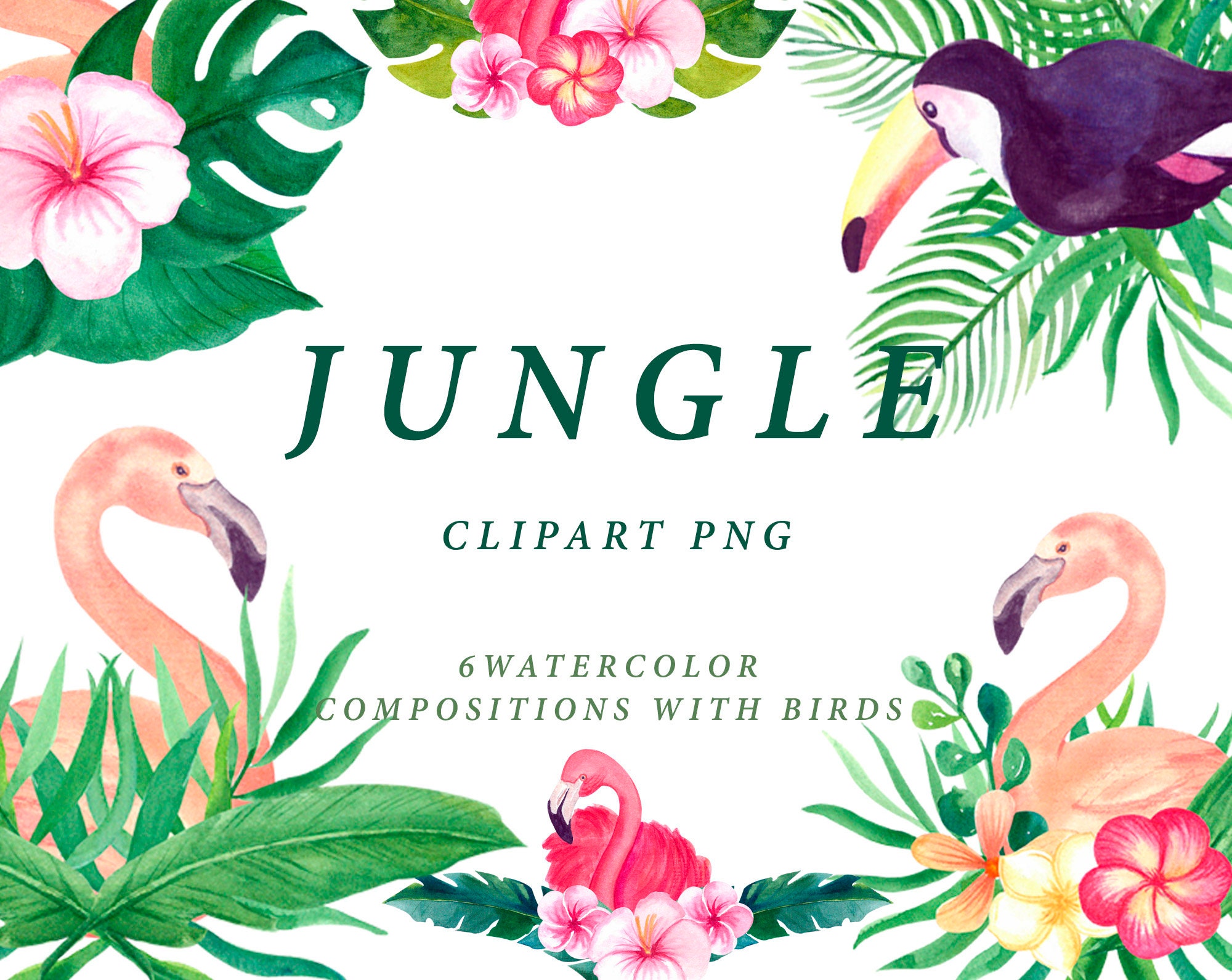 Flamingo clipart Tropical birds Floral clipart. | Etsy