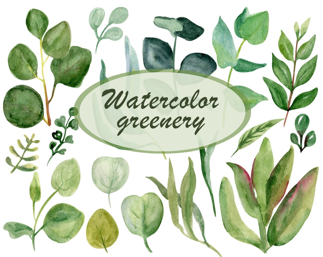 Watercolor Floral Greenery Clipart, Leaf Clip Art - Etsy