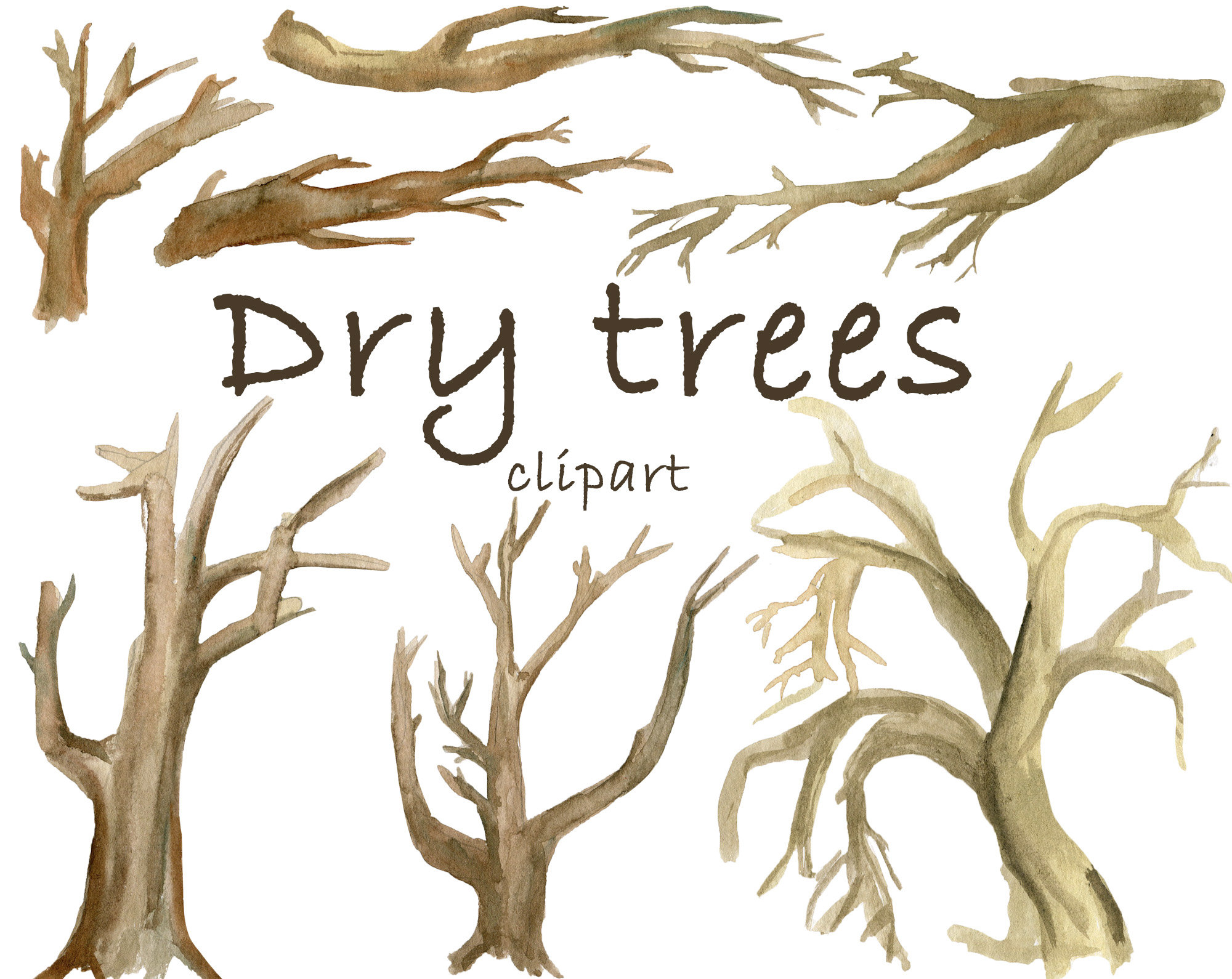 Animated Tree Branch Clip Art