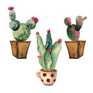 Succulent Clipart Bundle With Watercolor Flowers Instant Download ...