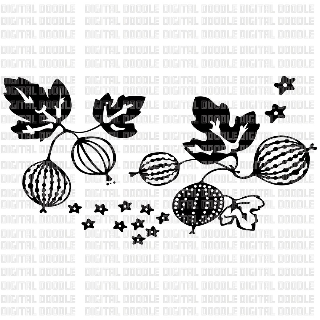 Vintage Pyrex Gooseberry SVG Clip Art Vector Digital Download Personal ...