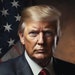 Donald J. Trump President of United State 2024 Portrait Print on Canvas ...