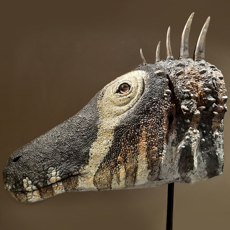 Dinosaur Head - Etsy