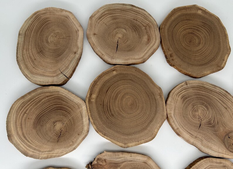 10 Rustic Live Edge Wood Coasters - Etsy