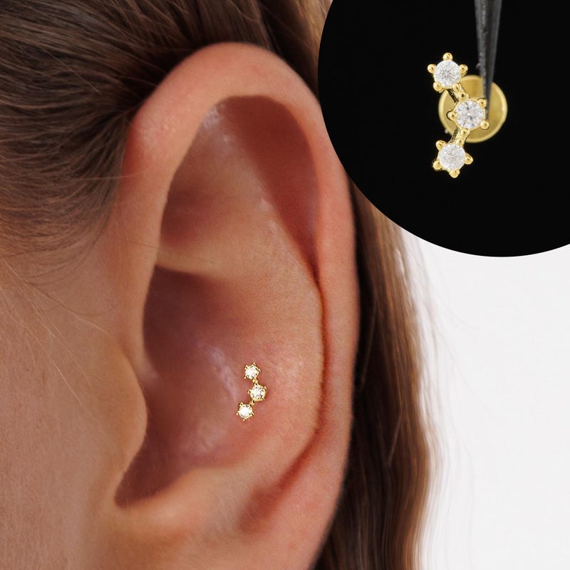 Conch Earrings - Etsy