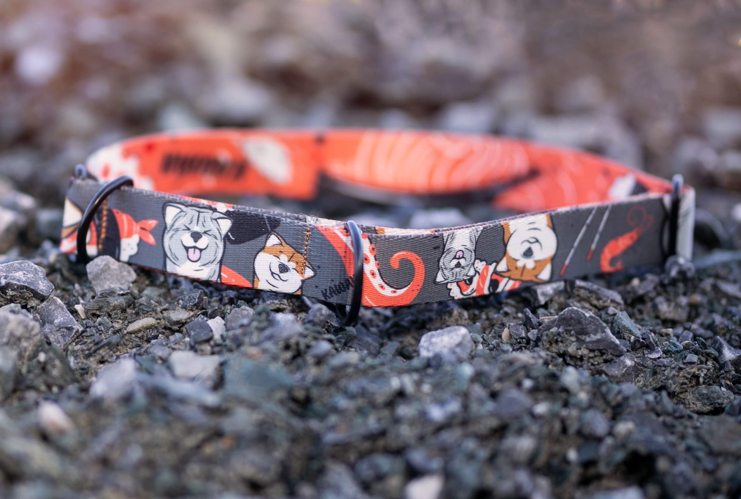 Sushi Pattern Brindle and Red Japanese Akita Inu Collar With - Etsy