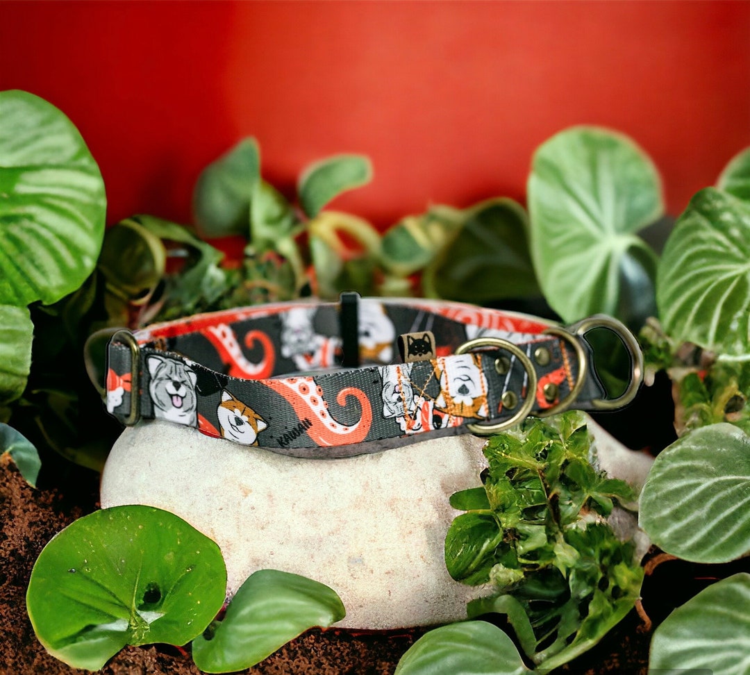 Sushi Pattern, Brindle and Red Japanese Akita Inu Collar With Variety ...