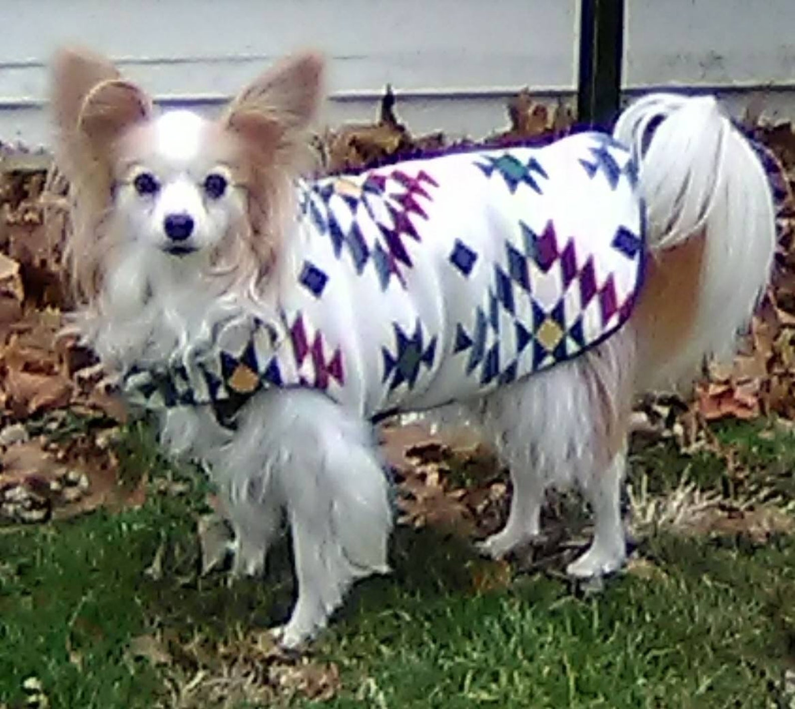 Bison Cream Aztec Double Fleece Winter Dog Coat With 3M Thinsulate ...
