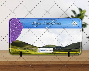 Baja California Sur Mexico License Plate Digital File Layered SVG ...