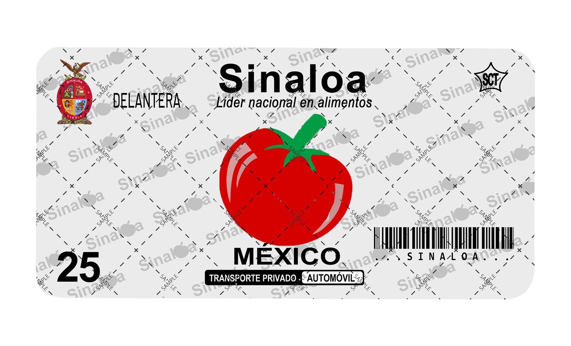 License Plate - Sinaloa 1 V1 - PNG FILE ONLY - Etsy