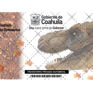 License Plate - Coahuila V1 - PNG FILE ONLY - Etsy