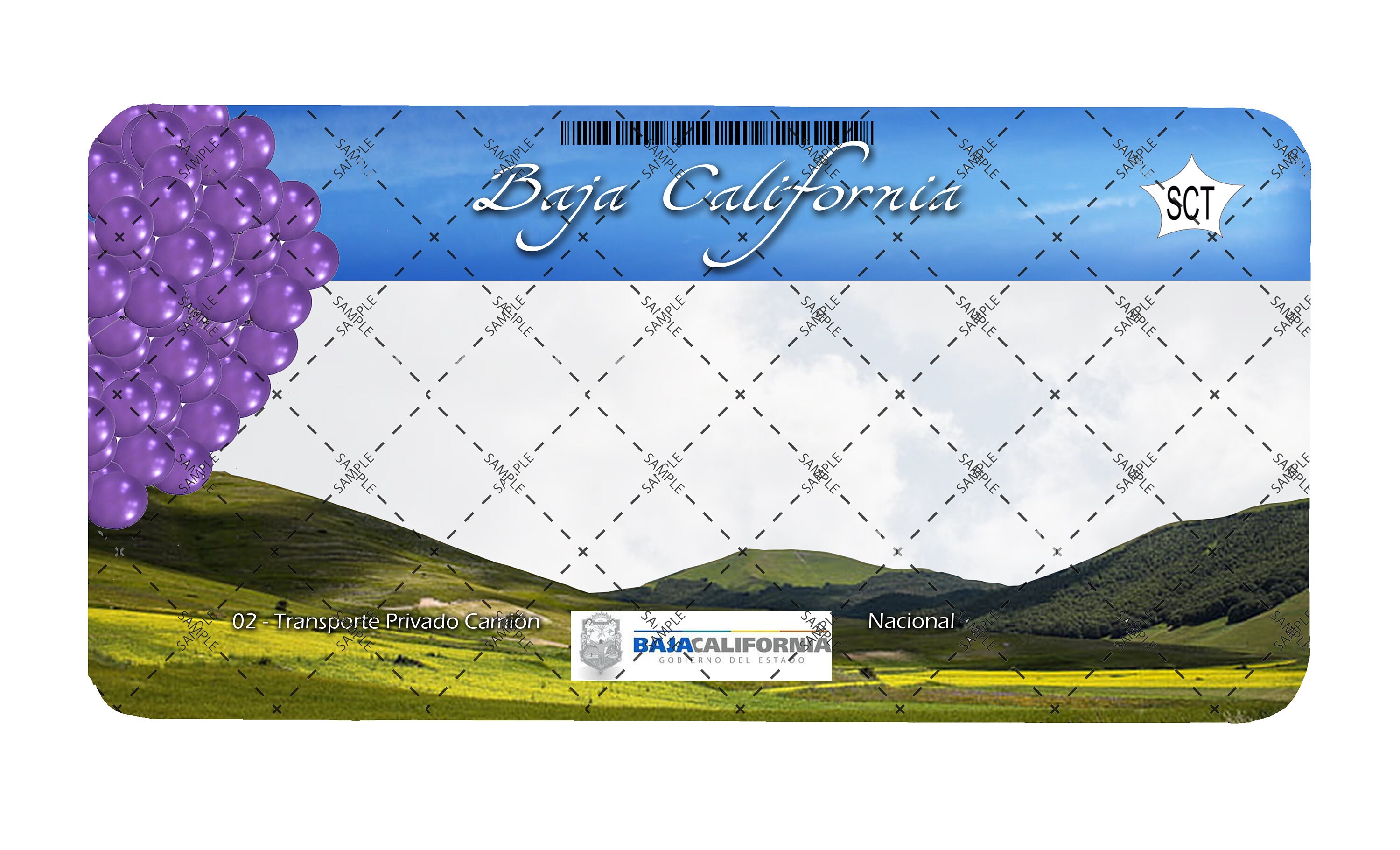 License Plate - Baja California - PNG FILE ONLY - Etsy