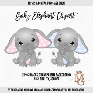 Baby Elephant Clipart Set: Pink & Blue PNG Images (digital Download) - Etsy