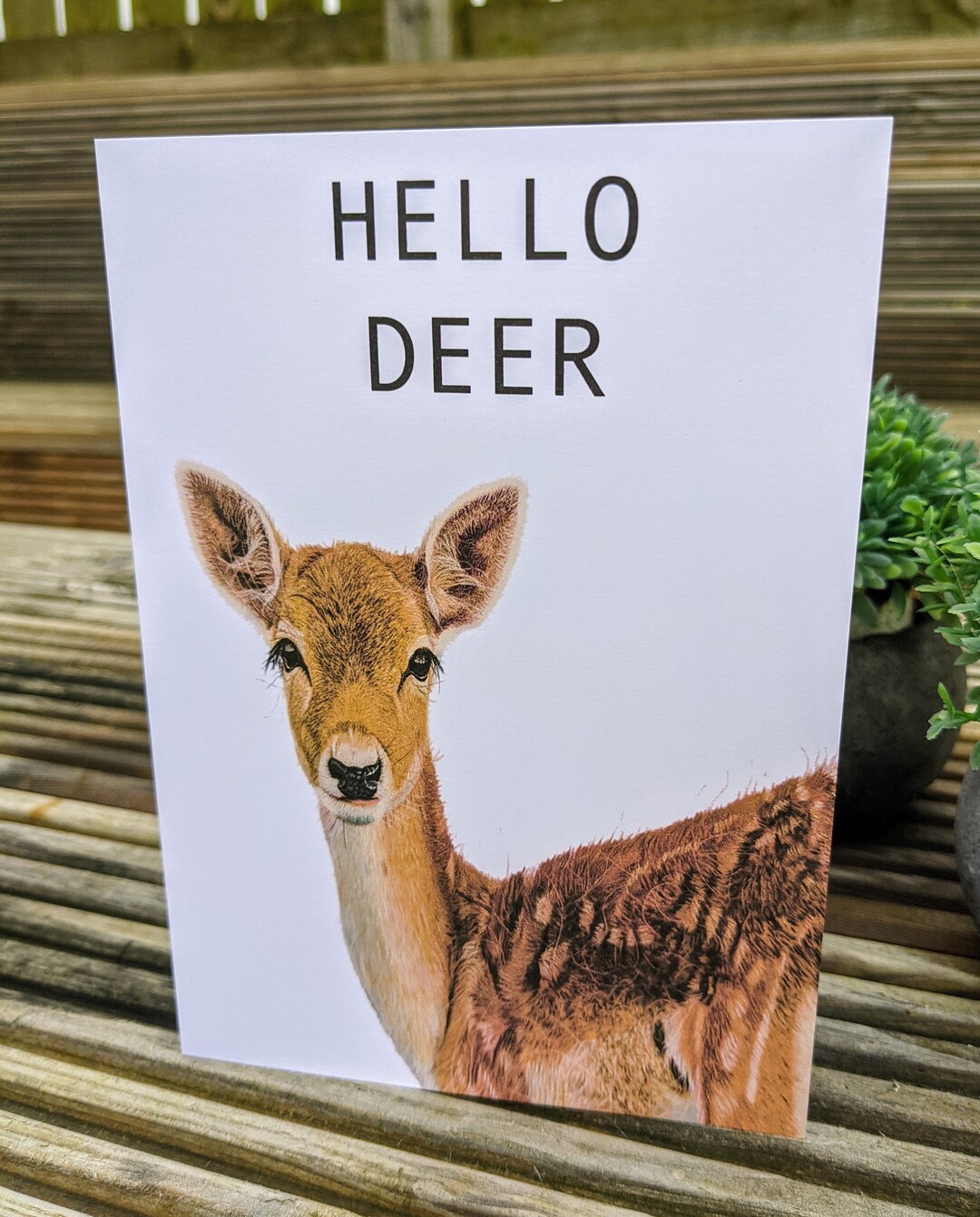 Hello Dear Card Hello Card Miss You Card Fun Deer Card - Etsy