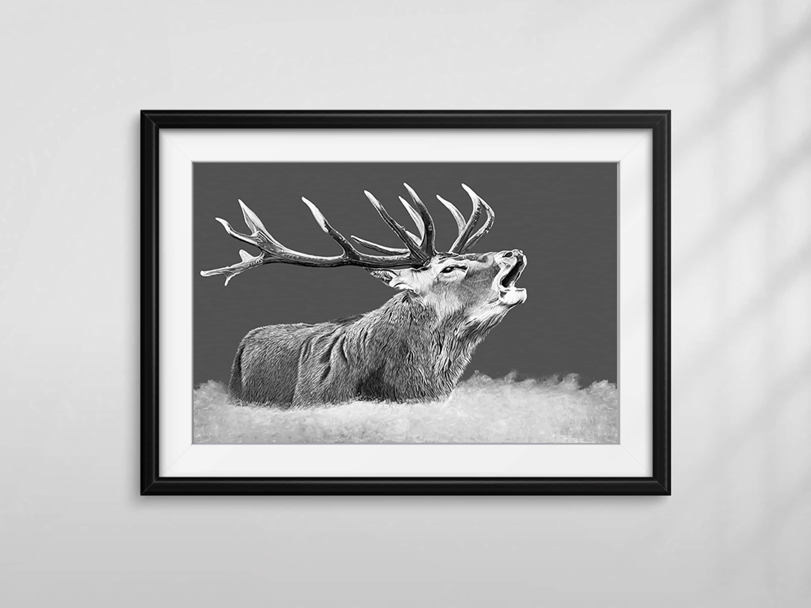 Stag Print Deer Print Wildlife Print Stag Art Deer Art Deer Art Print ...