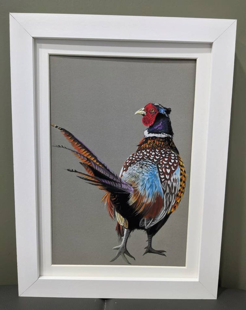 Pheasant Framed Print Framed Pheasant Print Pheasant Etsy