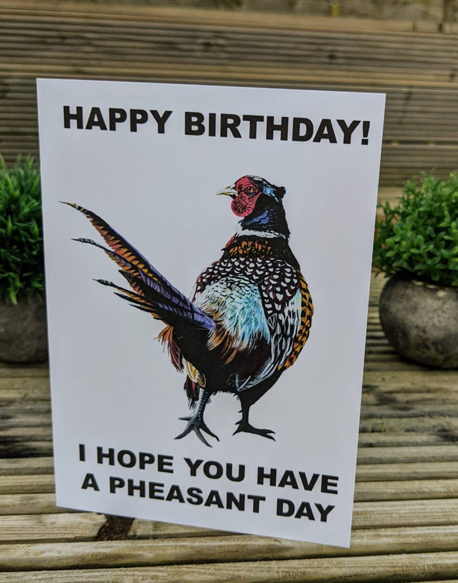 Pheasant Birthday Card Fun Pheasant Card Pheasant | Etsy