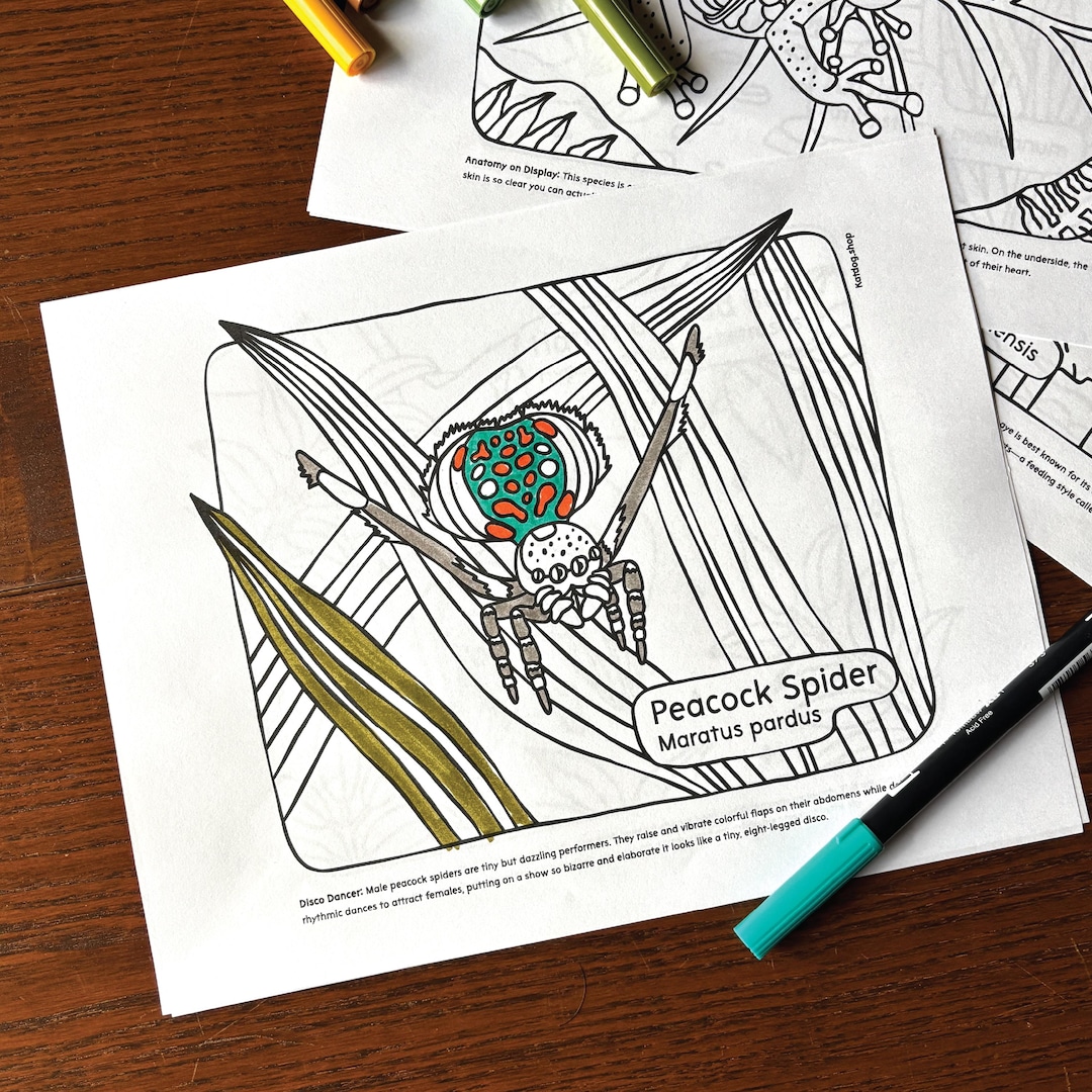 Weird Animals Coloring Pages: Axolotl, Platypus, Goblin Shark (digital ...