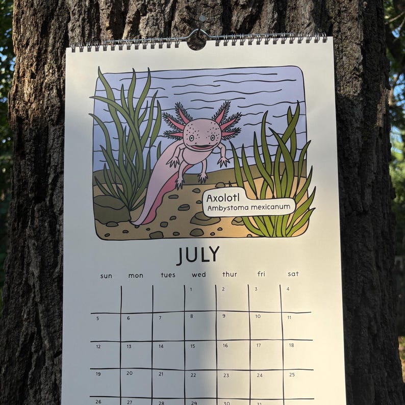 Strange & Bizarre Animals 2026 Calendar | Outdoor Lover Wildlife ...