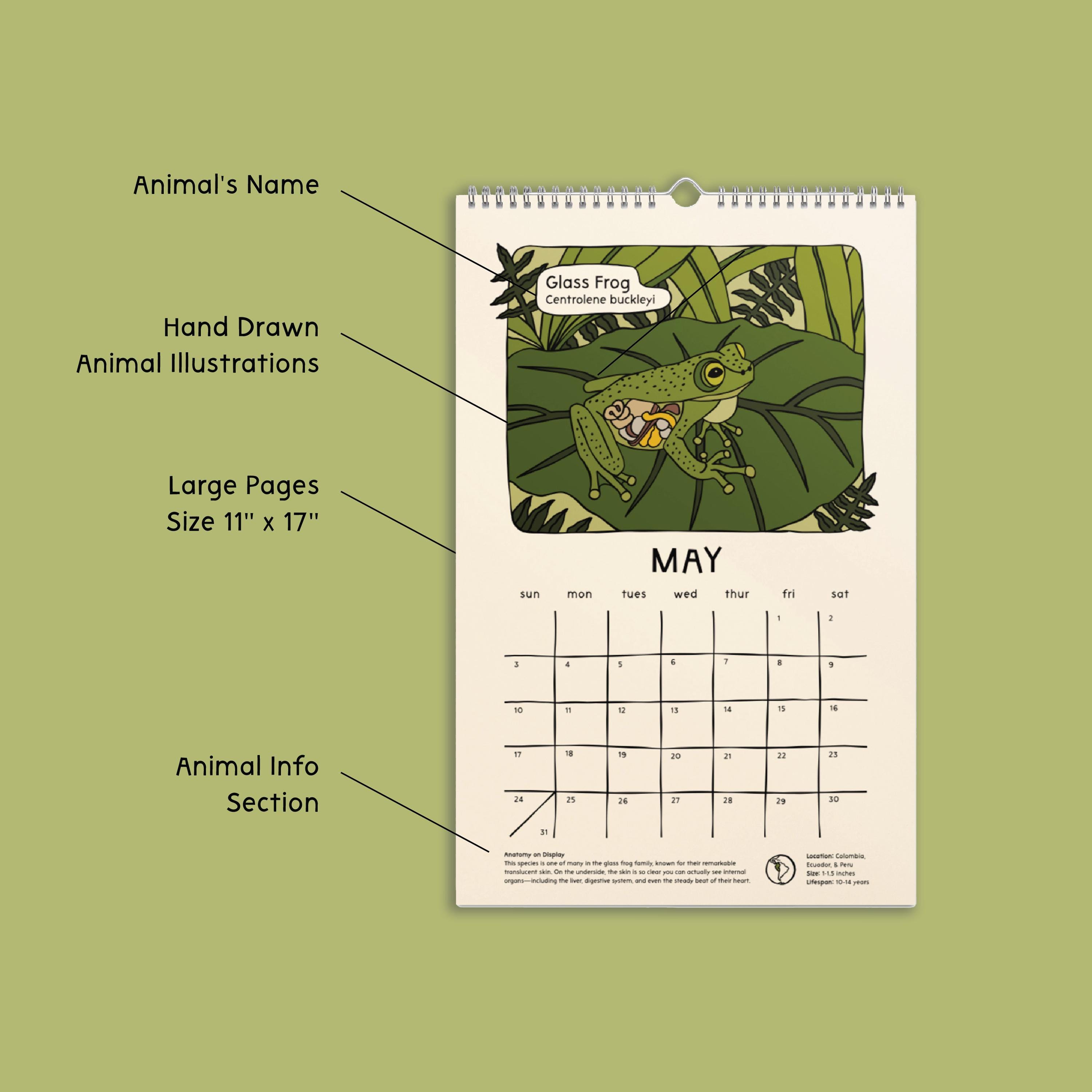 Strange & Bizarre Animals 2026 Calendar | 11"x17" | Outdoor Lover ...