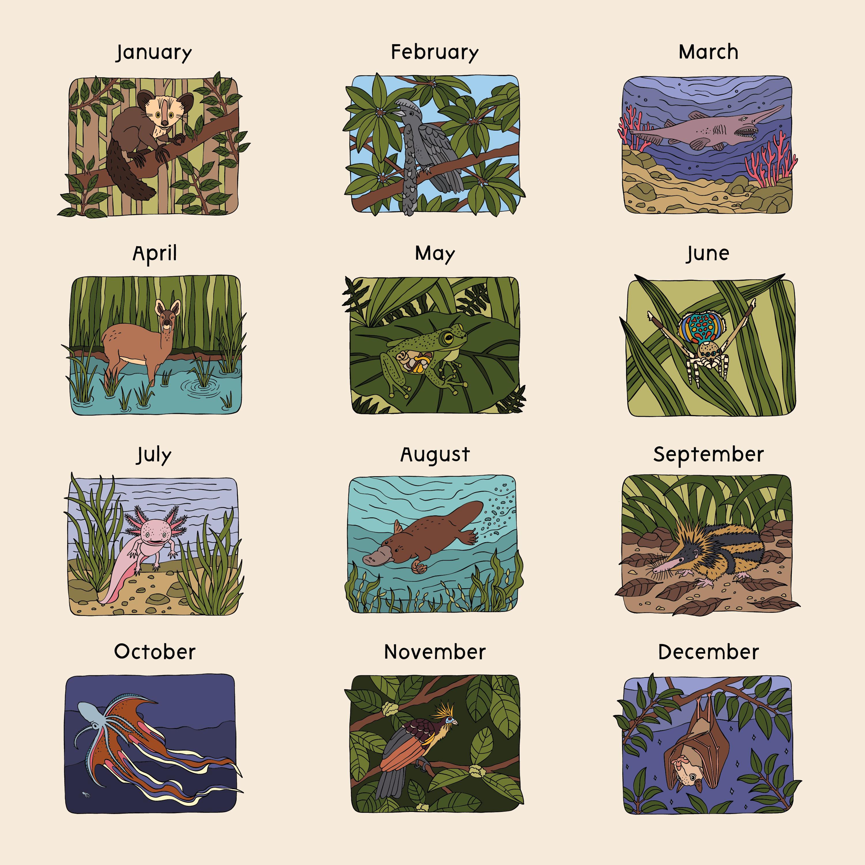 Strange & Bizarre Animals 2026 Calendar | 11"x17" | Outdoor Lover ...