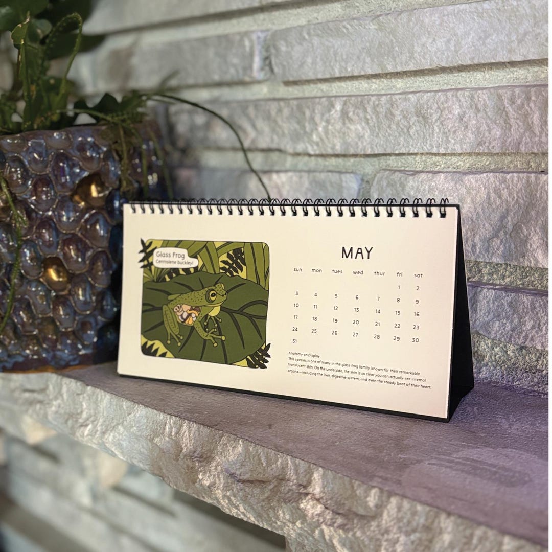 2026 Bizarre Animals Desk Calendar | 10"x5" | Weird Wildlife Facts - Etsy