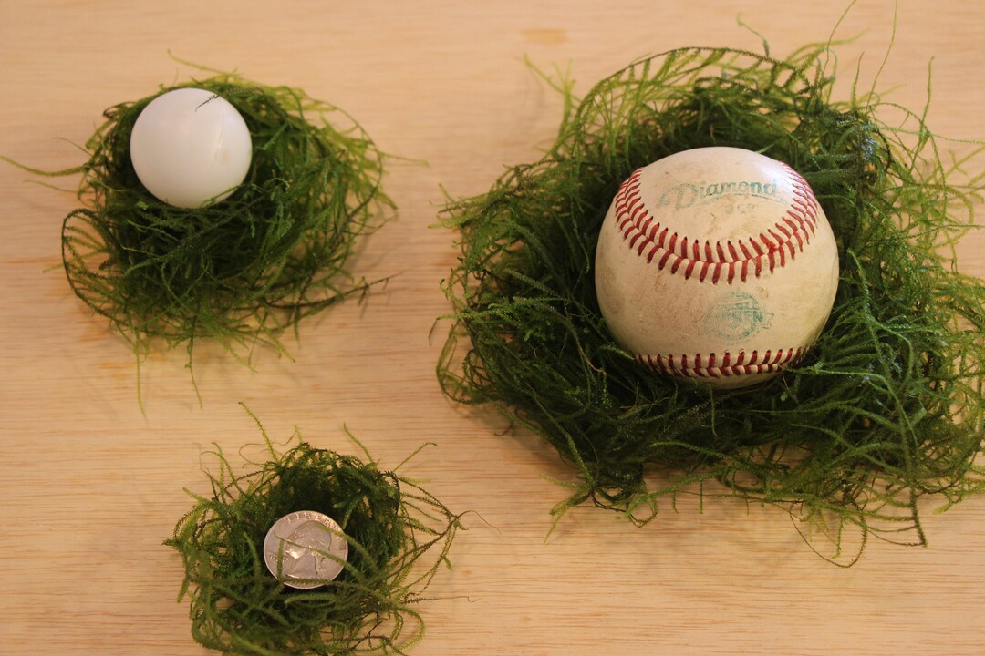 Java Moss Aquarium Plant - Etsy