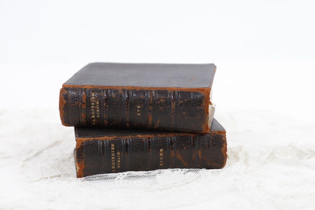 1891 French Small Bible Book Set, Summer and Winter, D'été Et D'hiver ...
