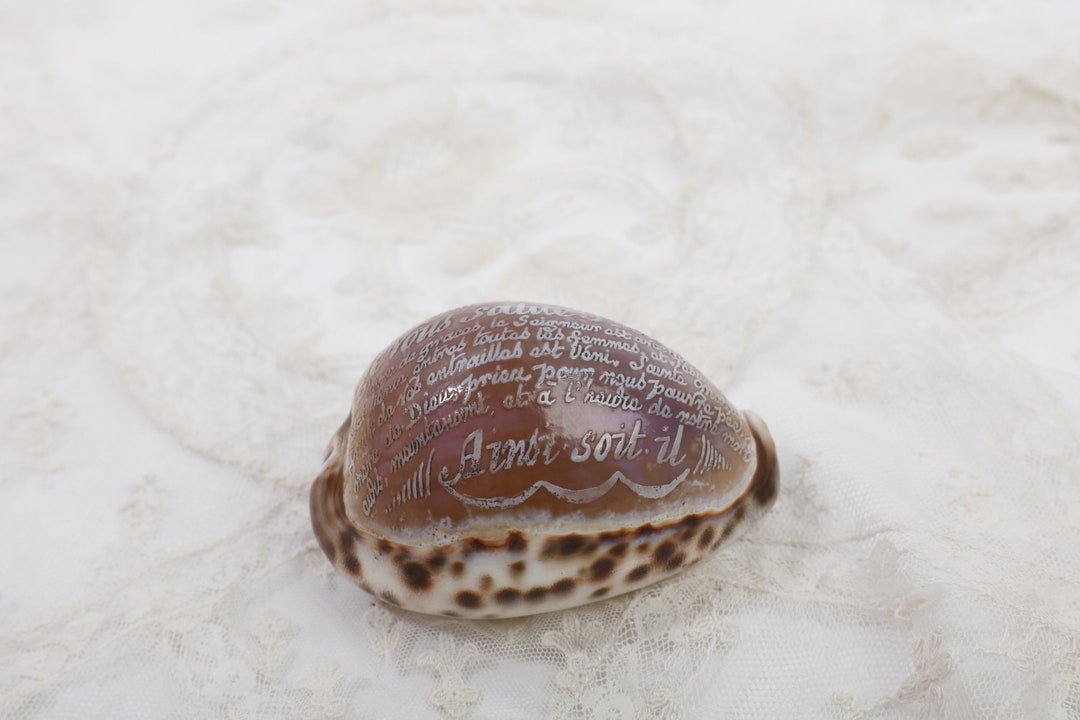 French Carved Cowrie Shell With the Hail Mary Prayer - Etsy