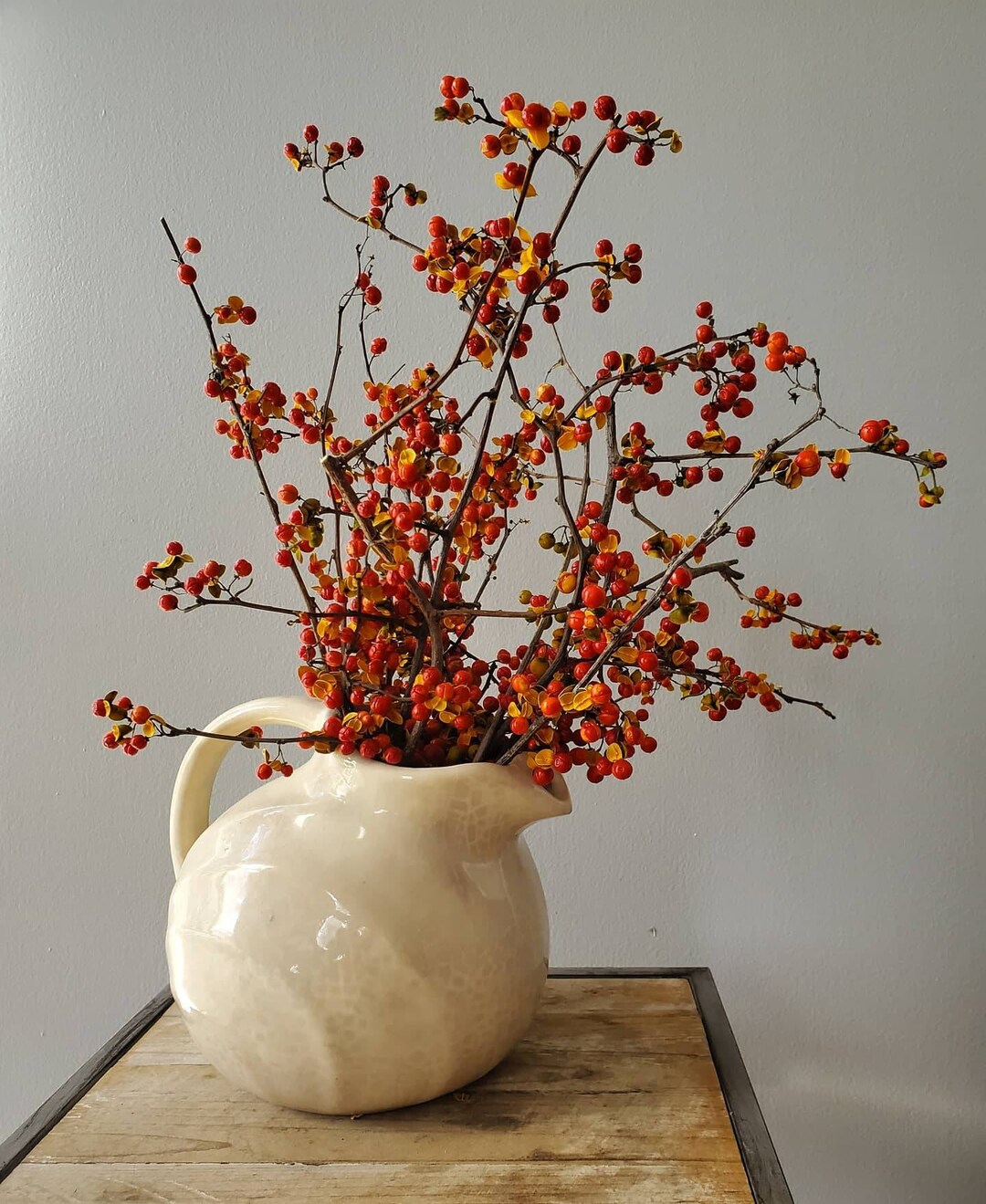 Bittersweet Bundle of Twigs and Berries, Real Bittersweet Vine and ...