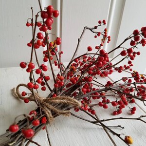 Bittersweet Bundle of Twigs and Berries, Real Bittersweet Vine and ...