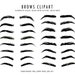 Eyebrows Svg. Brow Clipart SVG. Makeup Png, Brows Clip Art, Makeup SVG ...