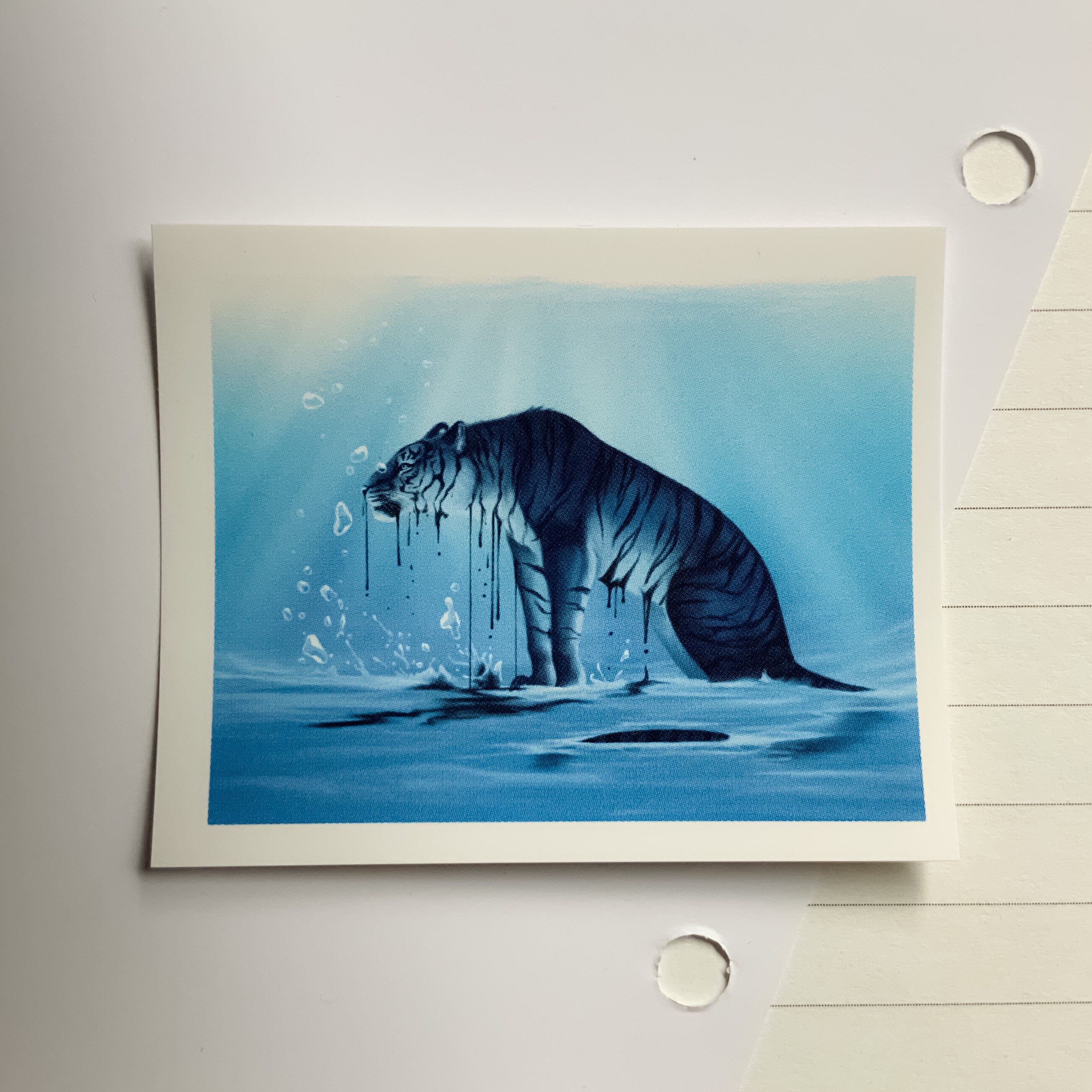 Water Cycle - Vinyl Sticker Waterproof Small Surreal Water Tiger Art - Etsy
