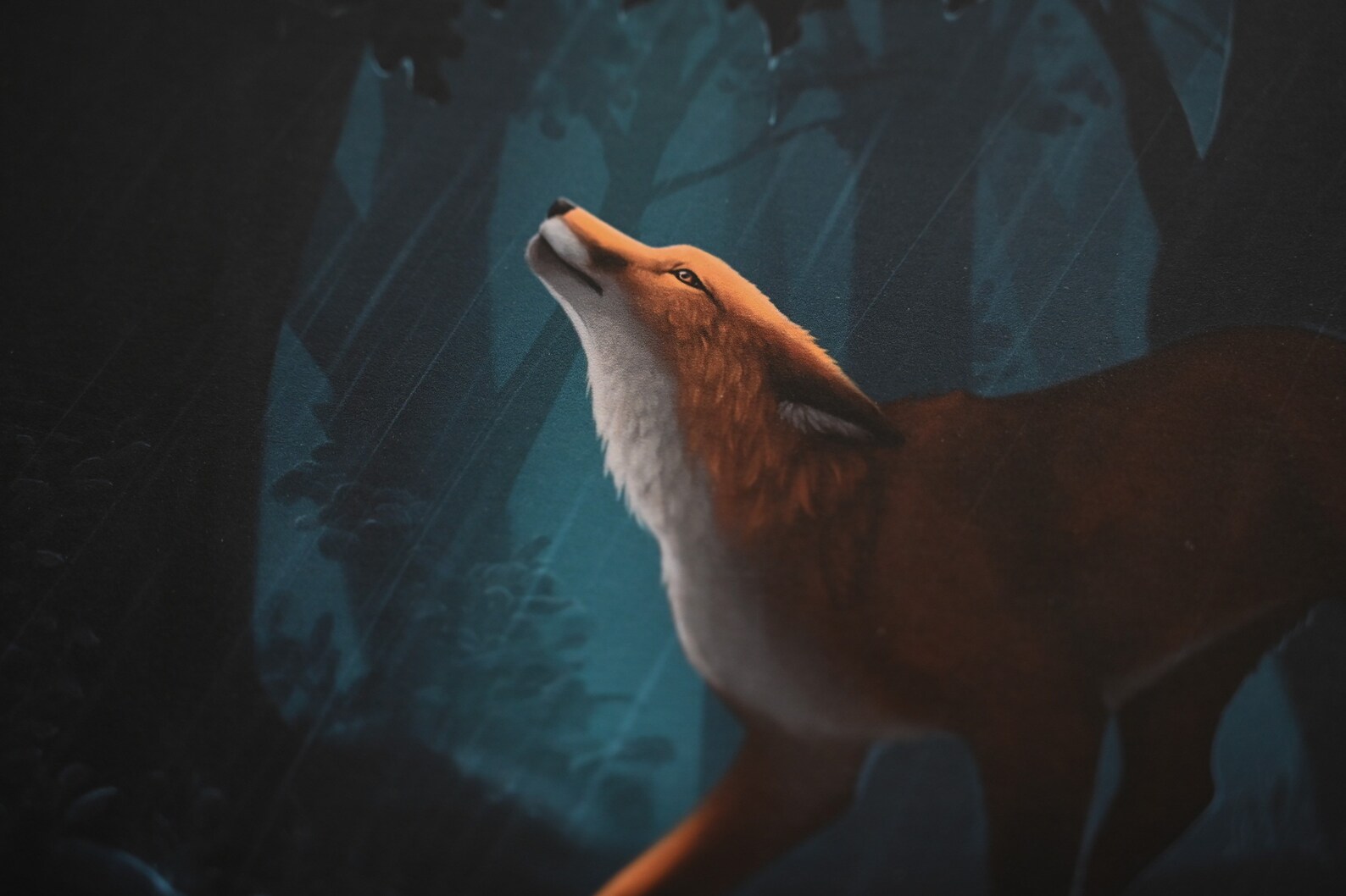 Rain Fox Red Fox Giclée Art Print - Etsy