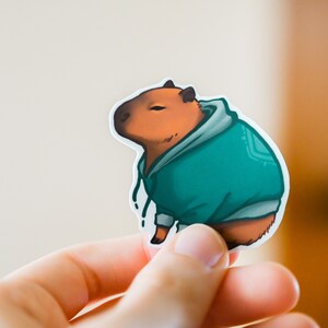 Capybara Stickers • Cozy Capybara in Hoodie • Cute Animal Stickers ...