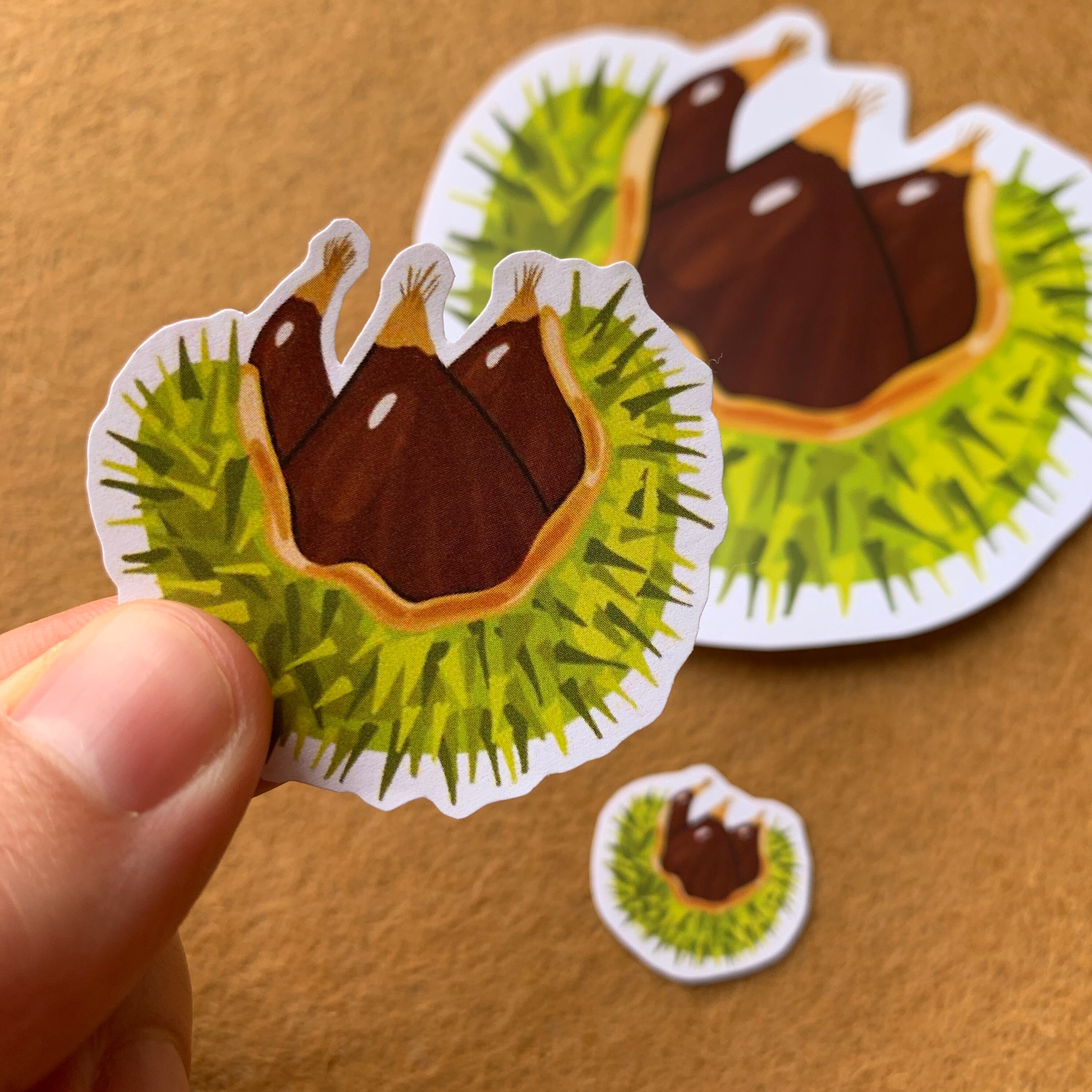 Chestnut Sticker - Etsy
