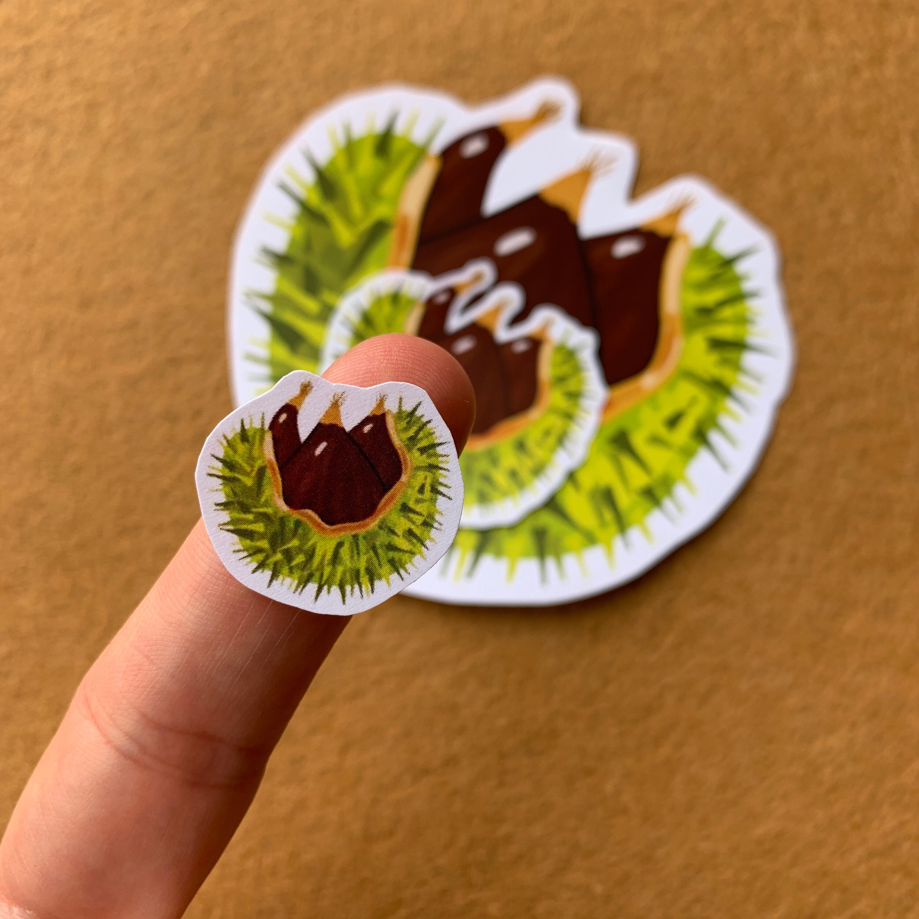 Chestnut Sticker - Etsy