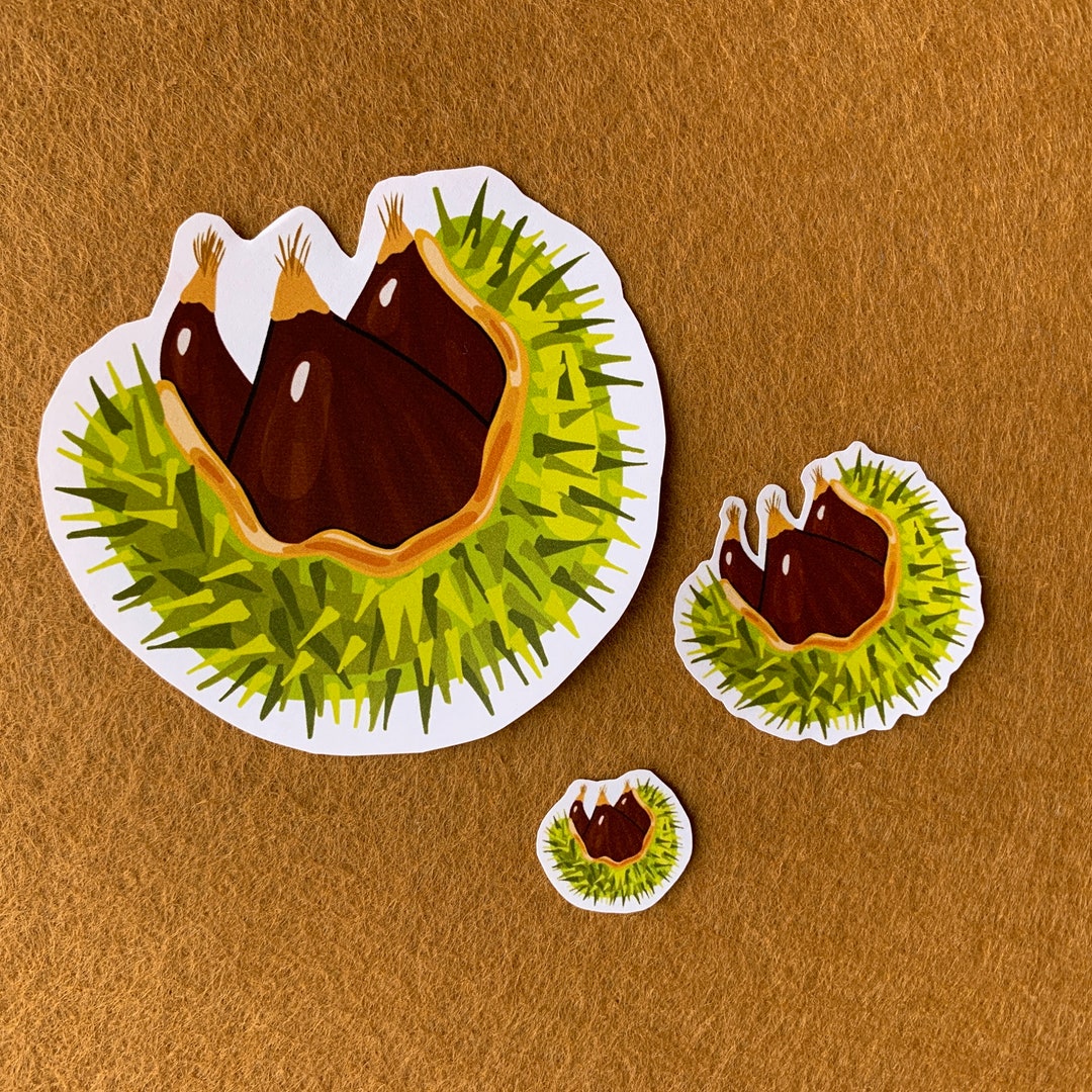 Chestnut Sticker - Etsy