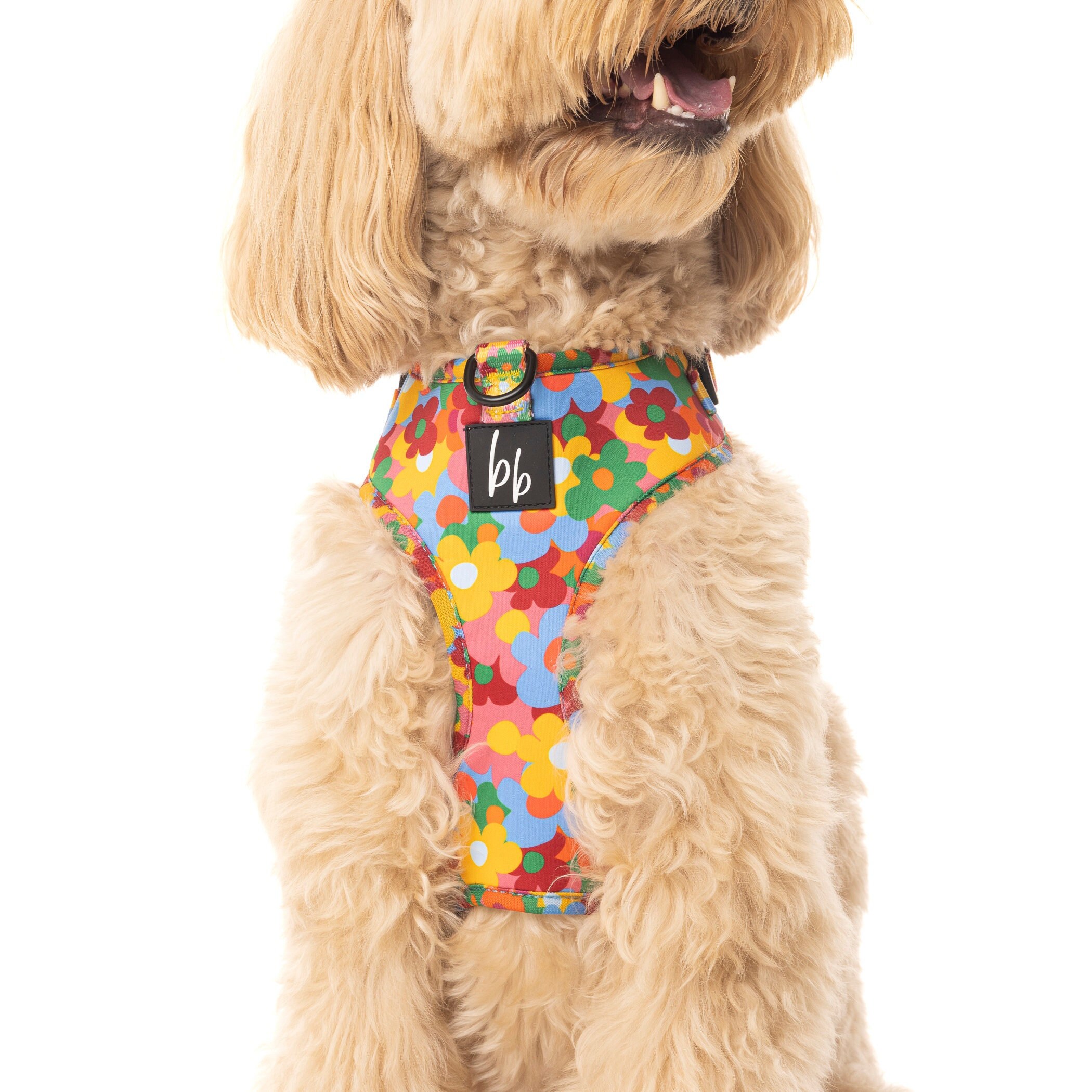 Dog Harness Floral Dog Chest Harness Adjustable Puppy Comfort - Etsy ...