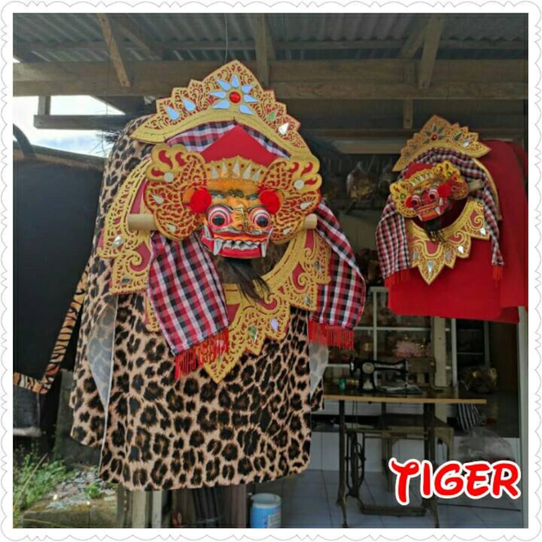 Mini Barong Costume/barong for Home Decor/pig Barong Costume/tiger ...