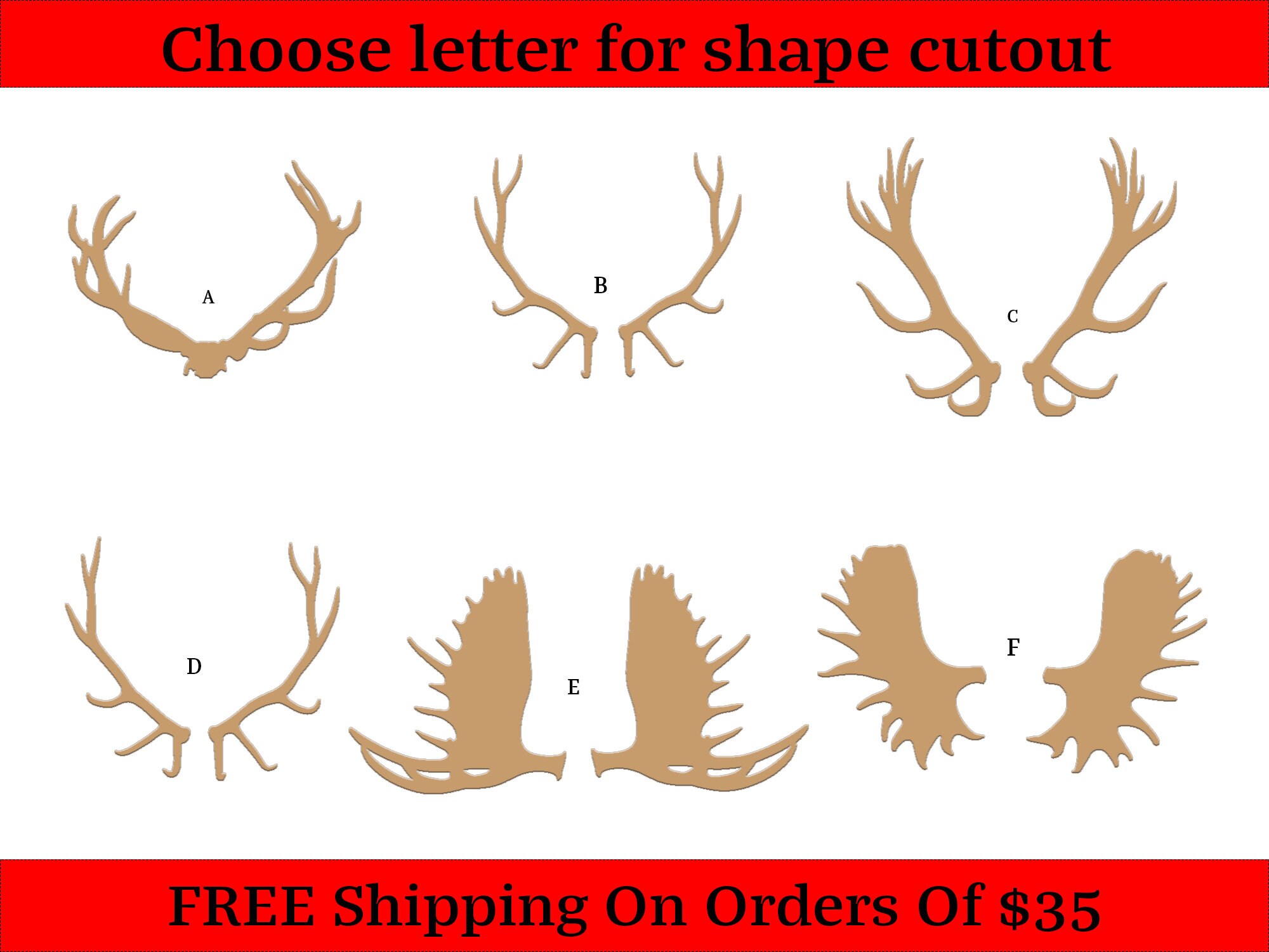 Different Horn Shapes | ppgbbe.intranet.biologia.ufrj.br