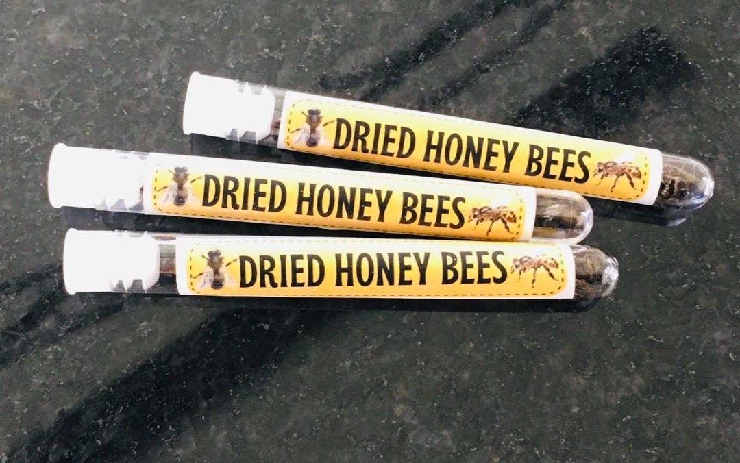 Natural Dried Honey Bees. All Bees Used at Natural End of Life. - Etsy