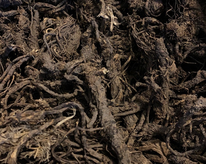 Osha Root Bear Root Ligusticum Porteri Wildcrafted Fall 2024 Harvested ...