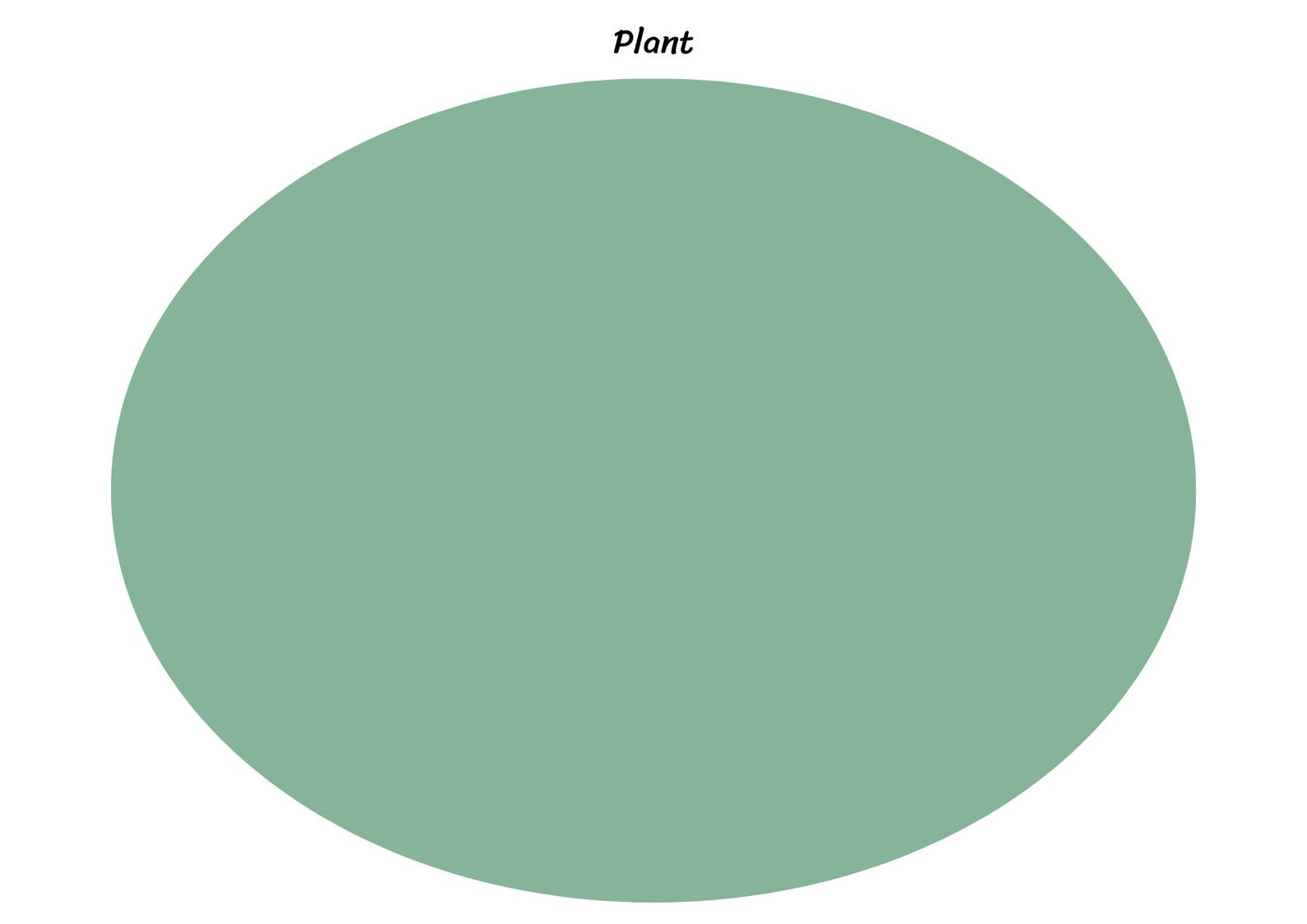Printable Dinosaur Flashcards | Herbivore & Carnivore Learning Set for ...