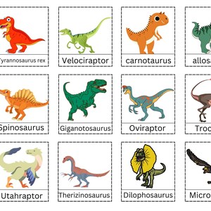 Printable Dinosaur Flashcards | Herbivore & Carnivore Learning Set for ...