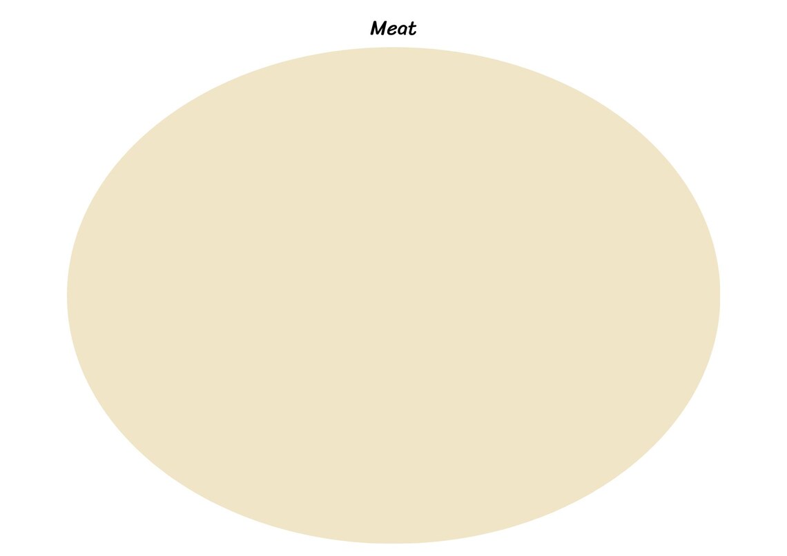 Printable Dinosaur Flashcards | Herbivore & Carnivore Learning Set for ...